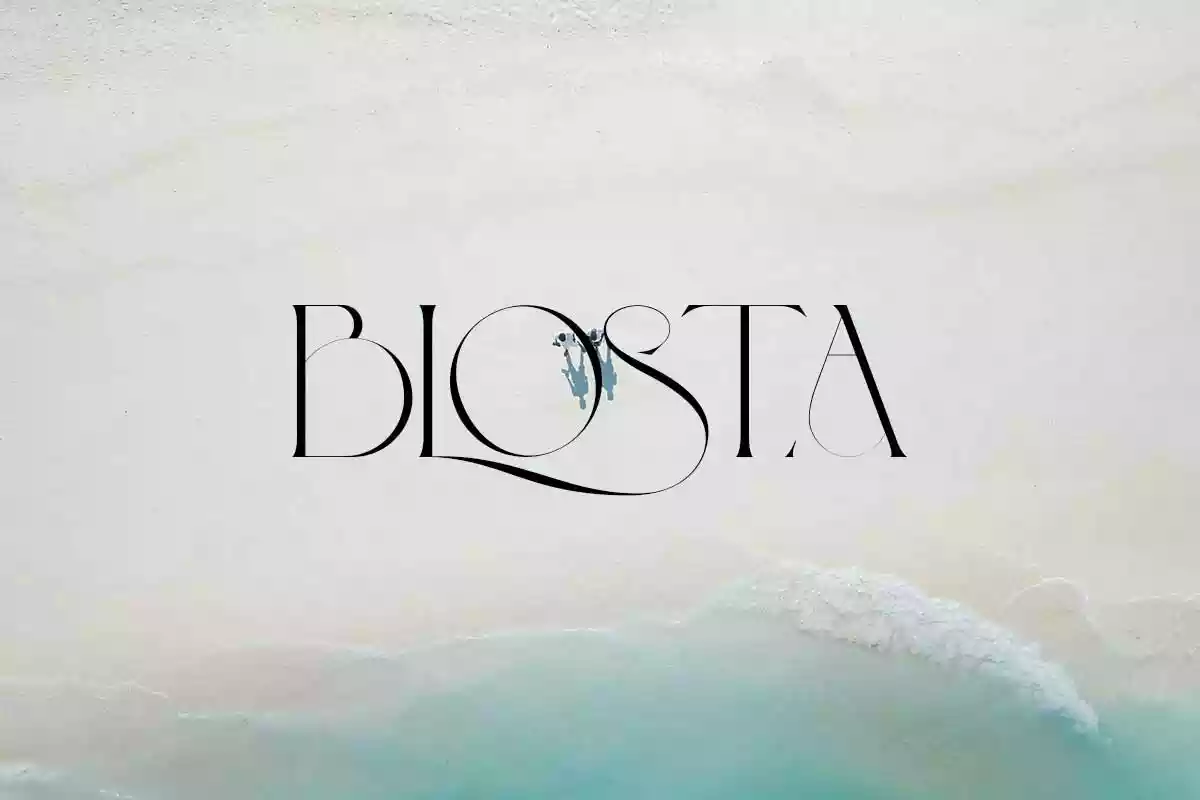 BLOSTA Font Duo - Dafont Finder