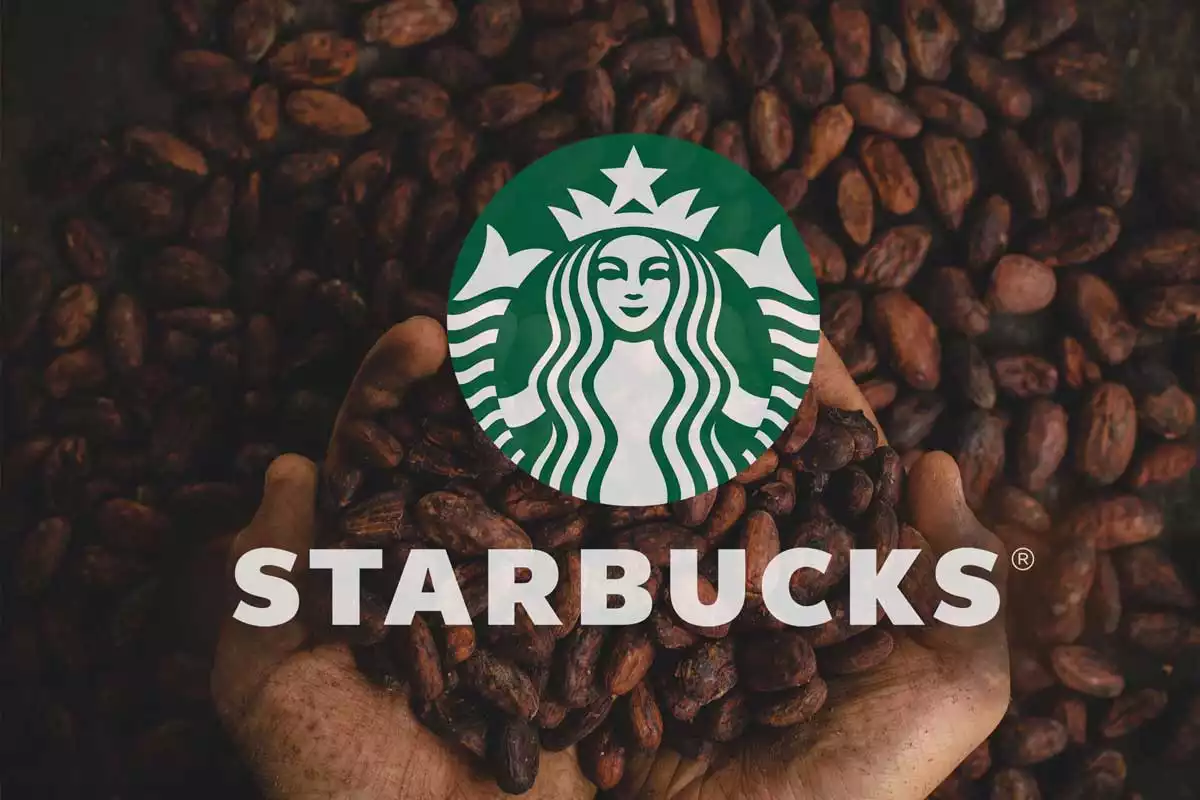 Starbucks Font - Dafont Finder